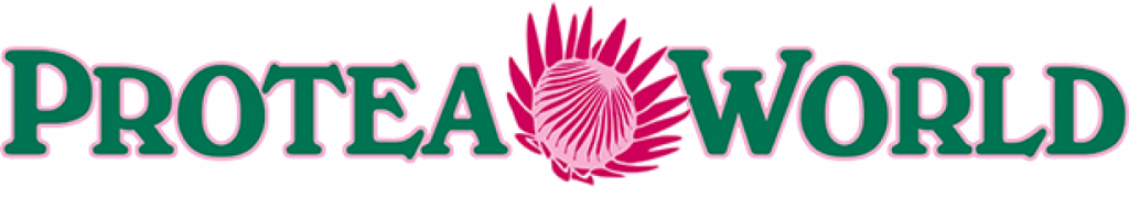 Protea Plants Online, Fill the Box FULL of Proteaceae Plants